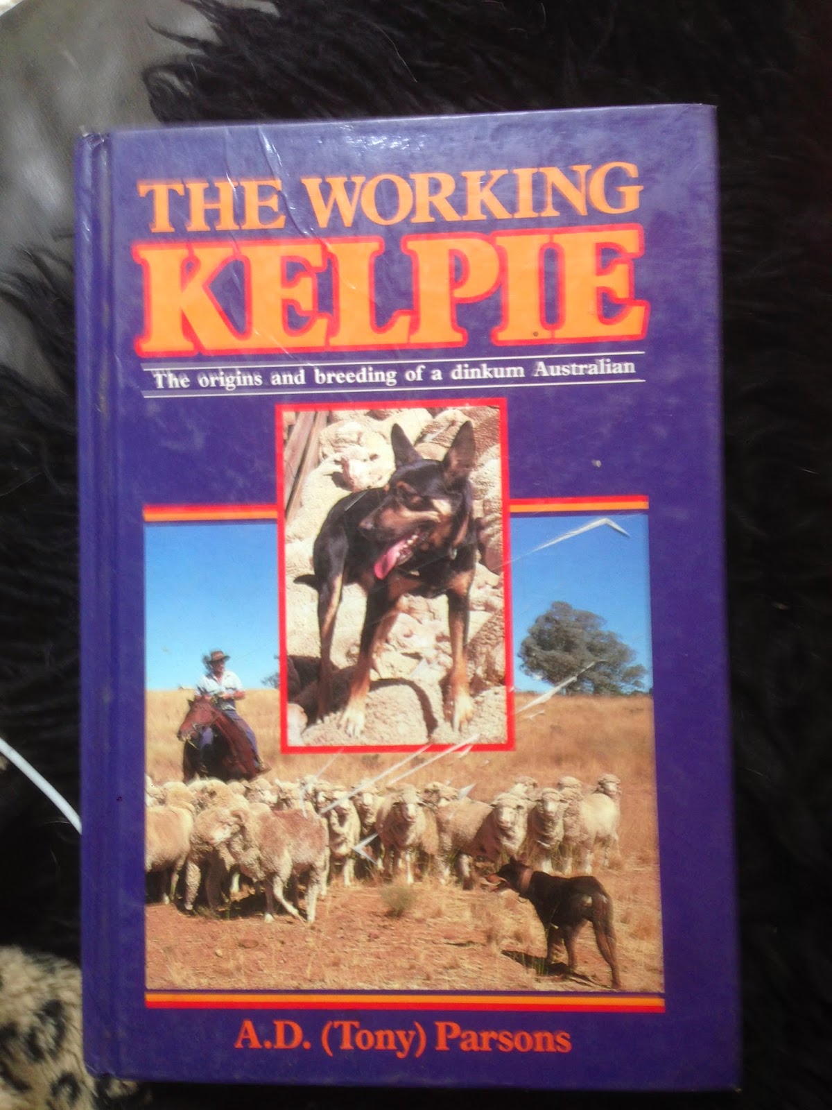 DeltaBluez Stockdogs: Kelpie Books for sale - SOLD